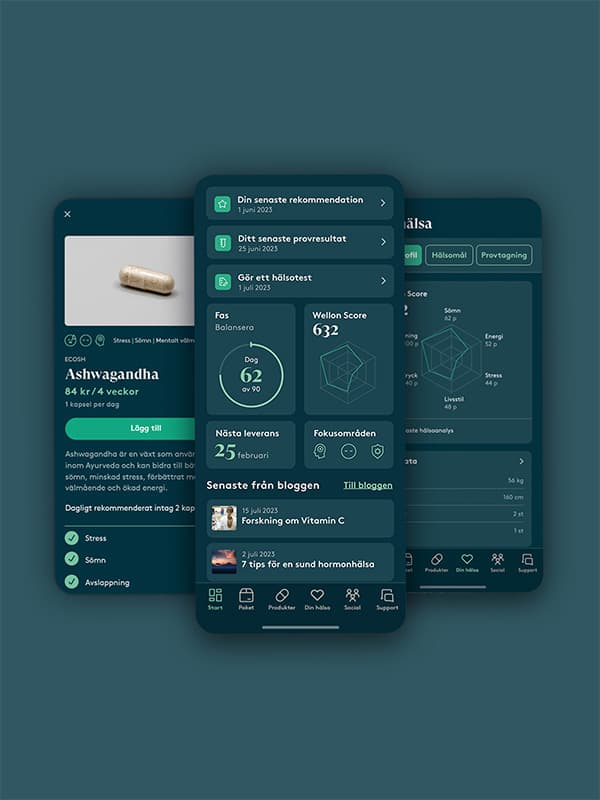Effektiv kommunikation som leder till resultat - Brainforest